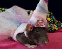 Popular items for rat clothes on Etsy