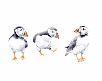 Panda Cubs Limited Edition Print 8.5x11 by WanderingLaurFineArt