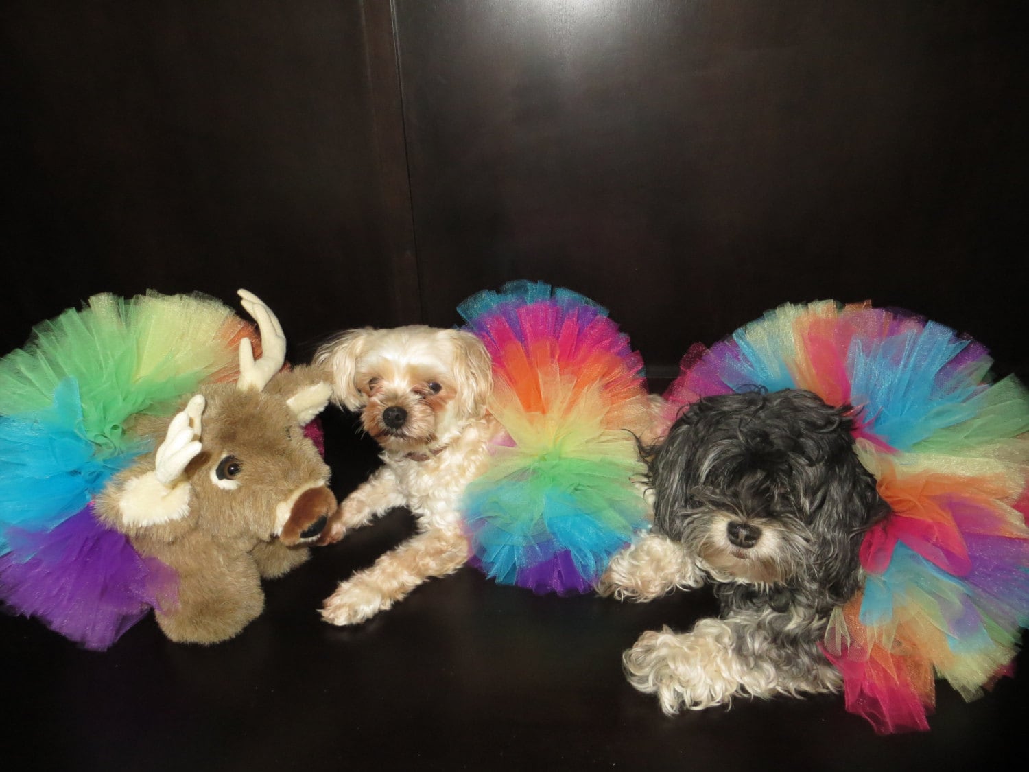 Rainbow dog tutu colorful dog tutu tropical dog tutu