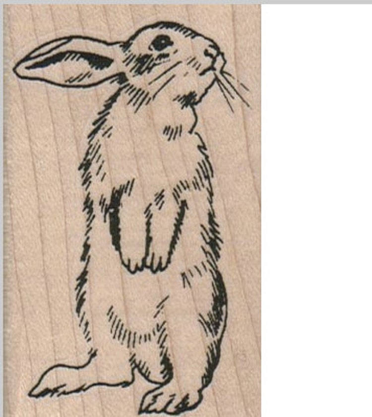 Easter rabbit bunny rubber stamps stamping by pinkflamingo61
