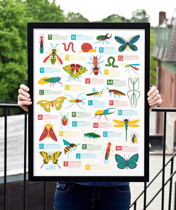 Bugs Alphabet Kids Poster
