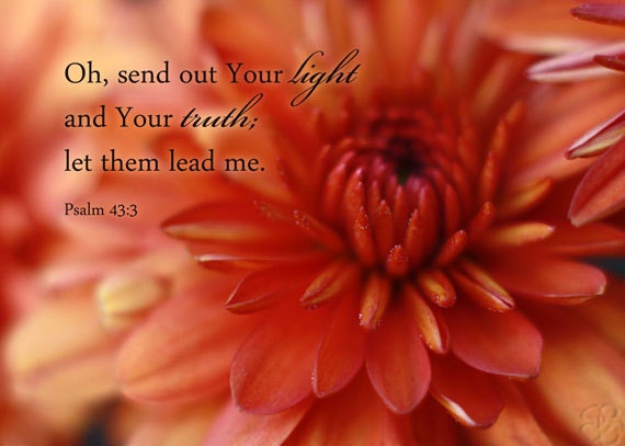 Christian Wall Art Psalm 43 Orange Flower Photo Bible