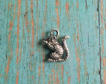 Squirrel lover | Etsy