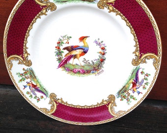 Popular items for myott china on Etsy