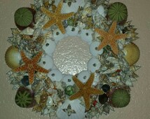 Popular items for natural sea shells on Etsy