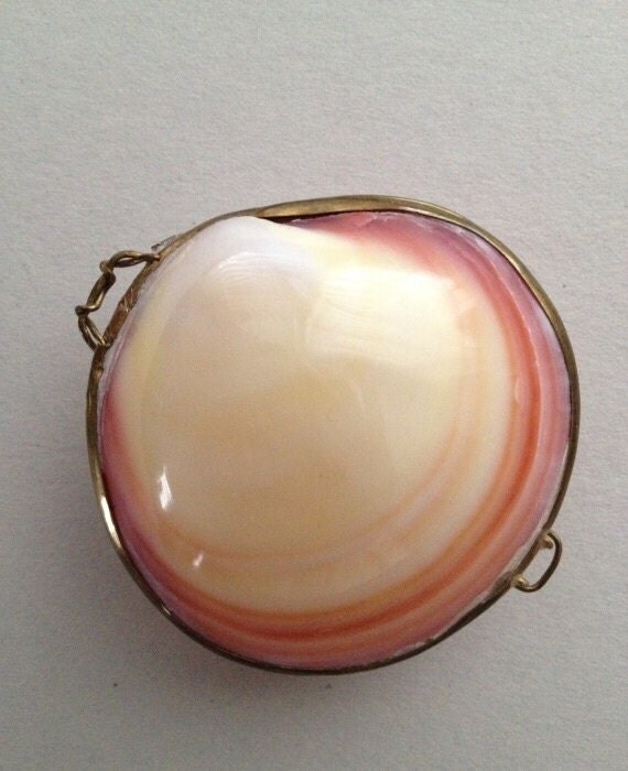 Vintage Tiger Clam Shell Trinket Box