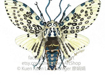 Nature-Inspired Educational Art by KuenArtShop on Etsy