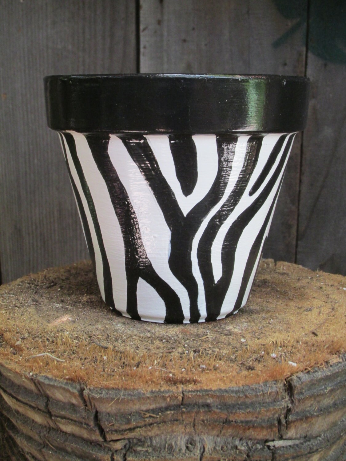 Zebra Print 6 Inch Flower Pot