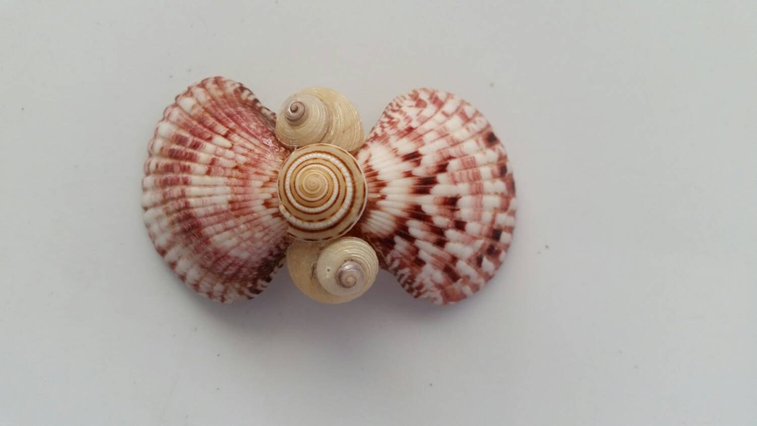 Seashell Hair Clip Coastal Clip Shell Hair by OutIslandEssentials