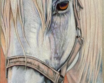 Percheron | Etsy