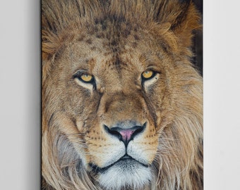Popular items for lion print on Etsy