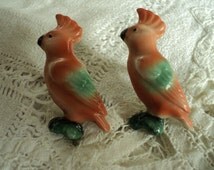 Unique ceramic parrot related items | Etsy