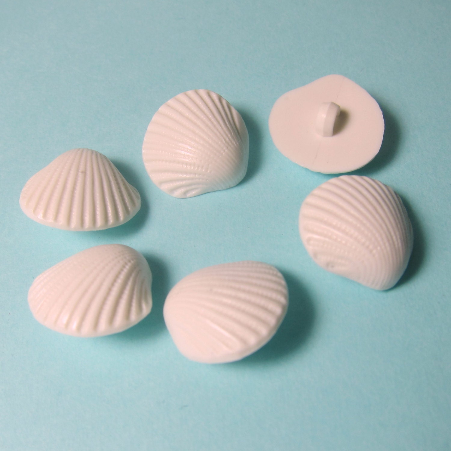 White Sea Shell Novelty Buttons