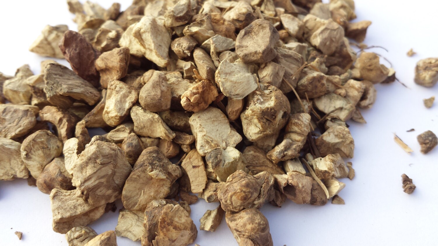 Stone Root c/s Wild Crafted 4 ounces