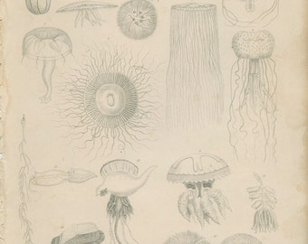 Purple girdle | Etsy