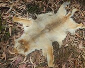 Gear made from natural things to take to wild by HowlingDingo