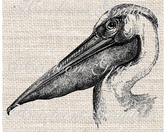 Pelican stencil | Etsy