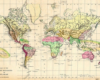 LARGE Antique Map of the World Map Art Print of old map A5