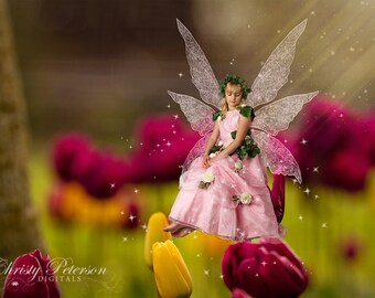 Digital Fairy Wings Backgrounds Overlays by FairyPhotography