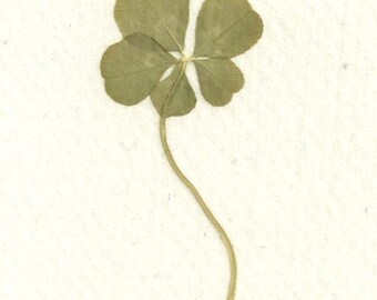 Five leaf clover | Etsy