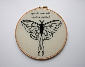 Embroidered moth | Etsy