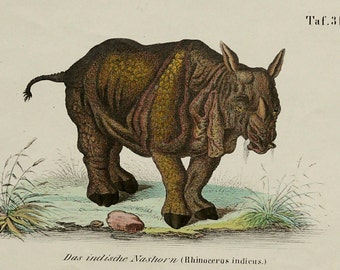 Ancient rhino | Etsy