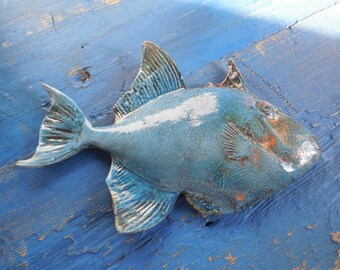 Popular items for trigger fish on Etsy