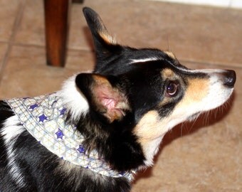 Jewish dog | Etsy