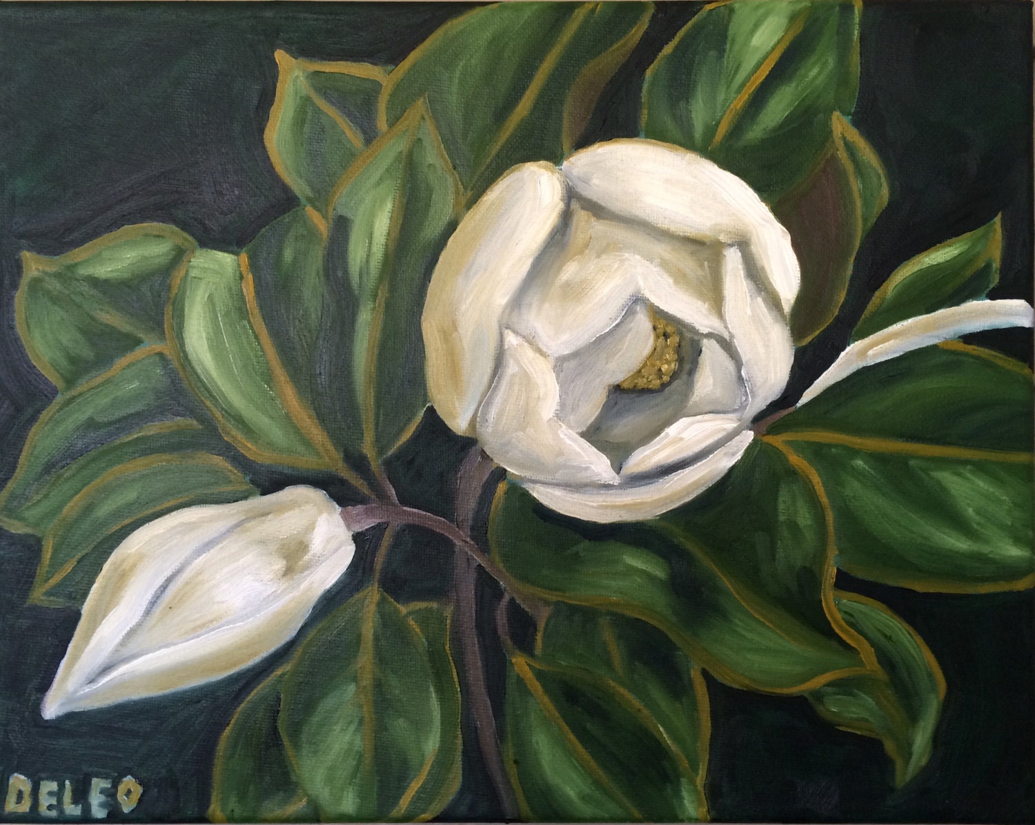 Magnolia Flower Still Life