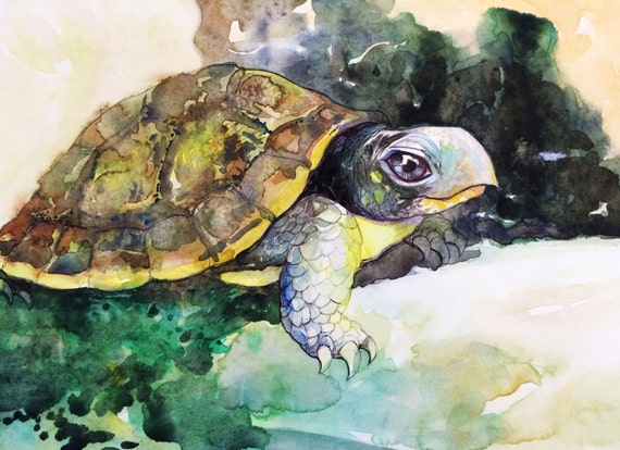Items similar to Watercolor Desert Tortoise Painting, Tortoise Art ...