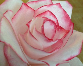 Coffee filter roses | Etsy