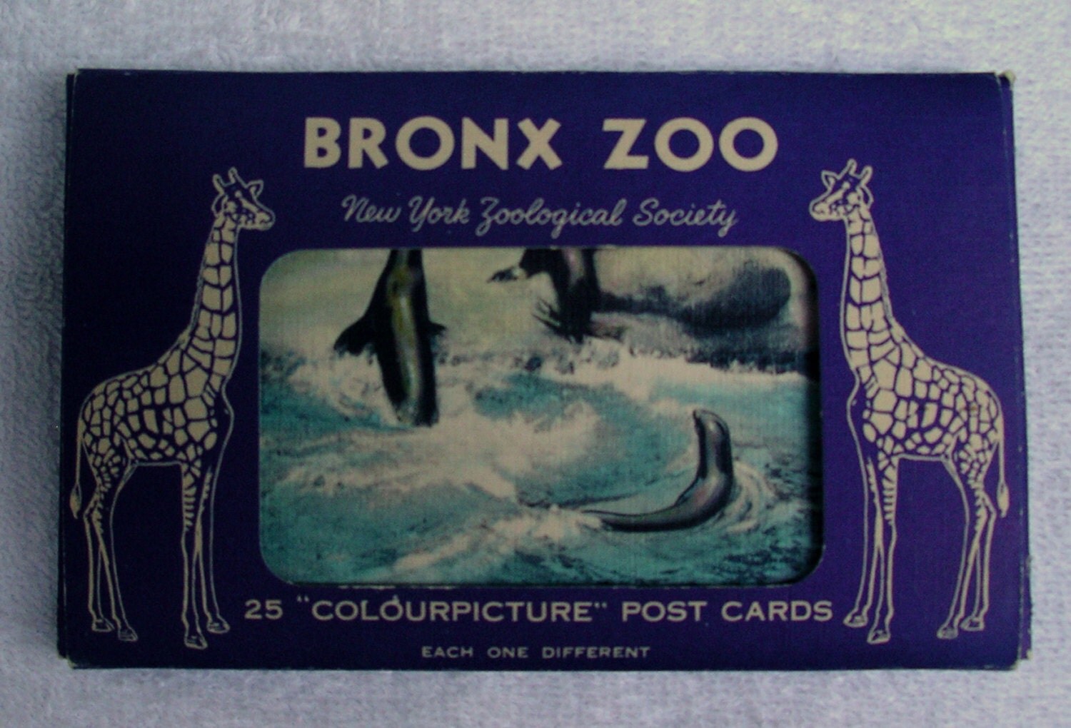 Bronx Zoo Post Cards 25 Different Vintage Post Cards New