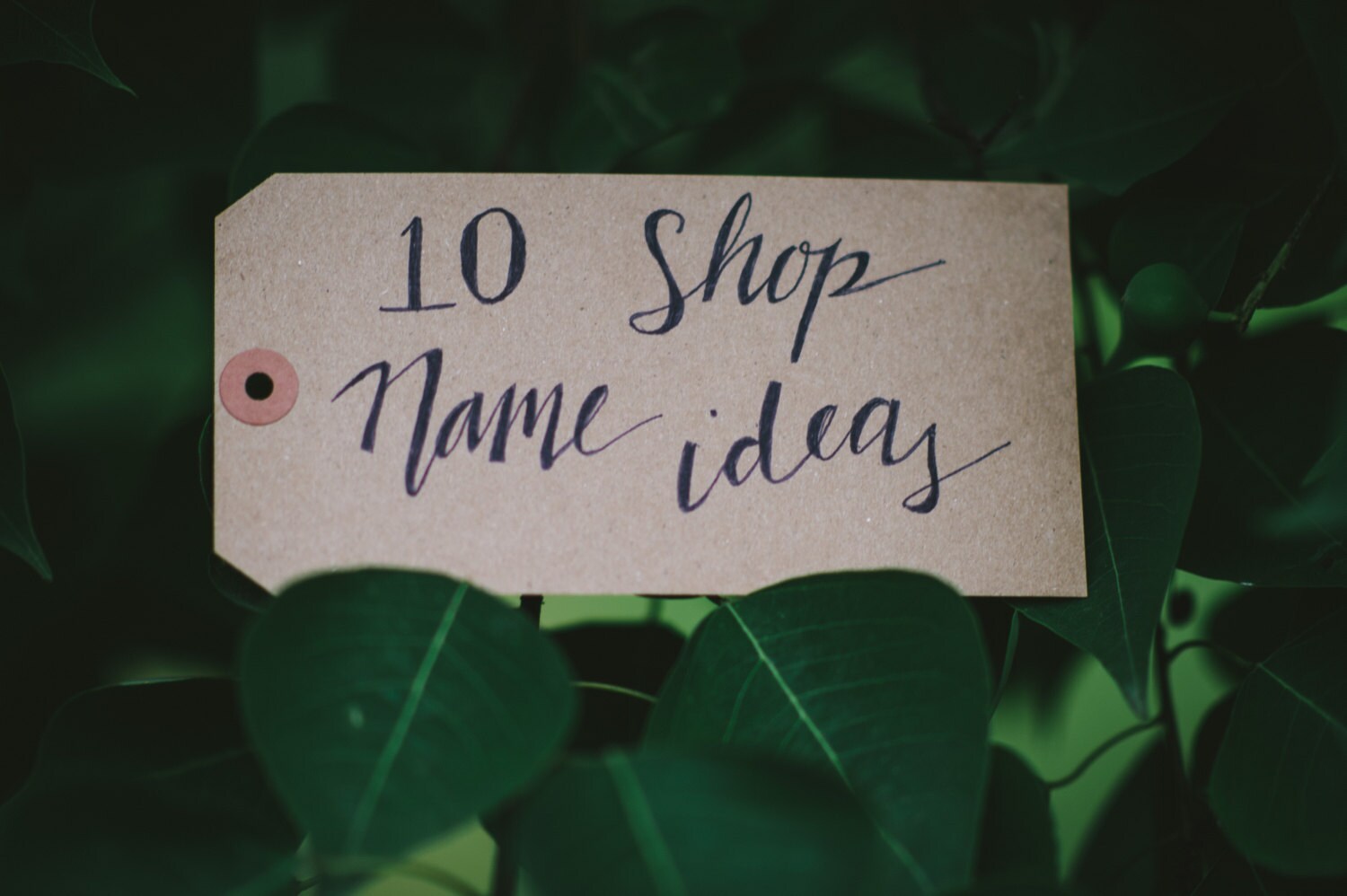 10 New And Unique Etsy Shop Name Ideas To Start Or Rebrand 10 New And Unique Etsy Shop Name Ideas To Start Or Rebrand