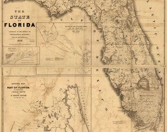Old florida art | Etsy