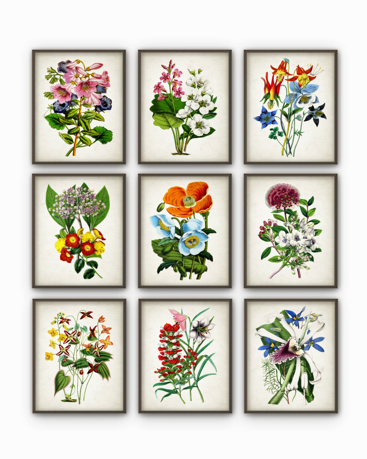 Flowers Print Set of 9 Vintage Botanical Home Decor