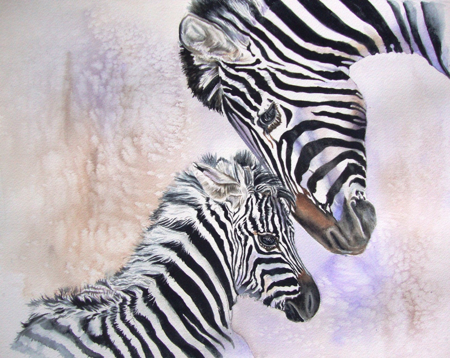 ZEBRA Watercolor Print from my Original Watercolor Painting by