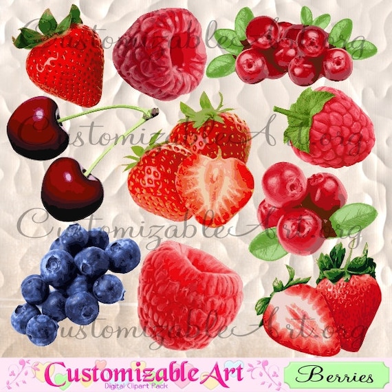 Berry Clipart Digital Berries Strawberry by CustomizableArt