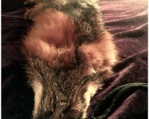 Popular items for fox pelt on Etsy