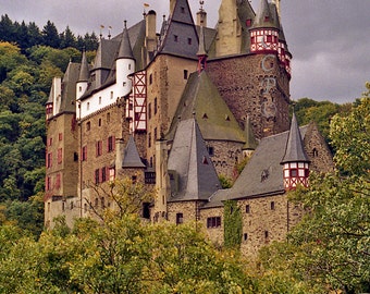 Medieval cats | Etsy