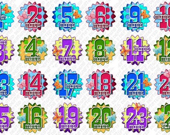 Nursery Wall Decals and Monthy Baby Stickers by SpoiledMunchkins