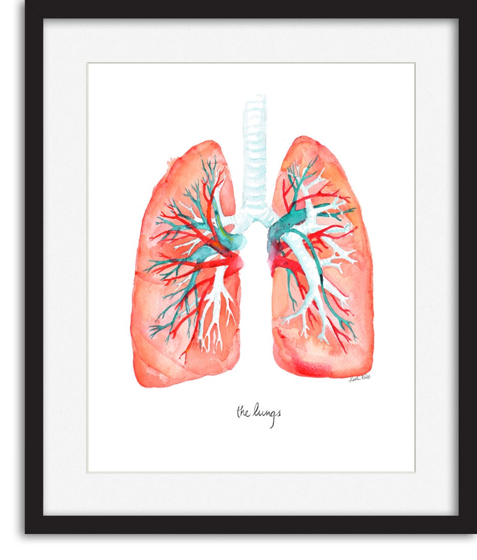 Lungs Art Print Lung Watercolor by LyonRoad on Etsy