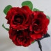 Flamenco Fiesta Handled Ruby Red Roses & Black Crystals