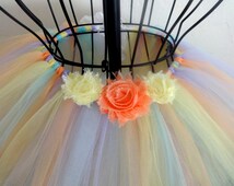 Popular items for multi colored tutu on Etsy