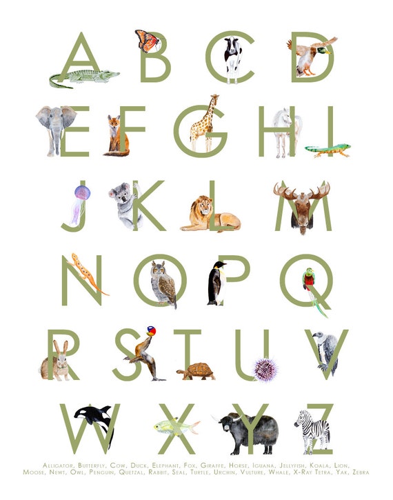 Animal Alphabet Art Alphabet Wall Art Child's by TinyToesDesign