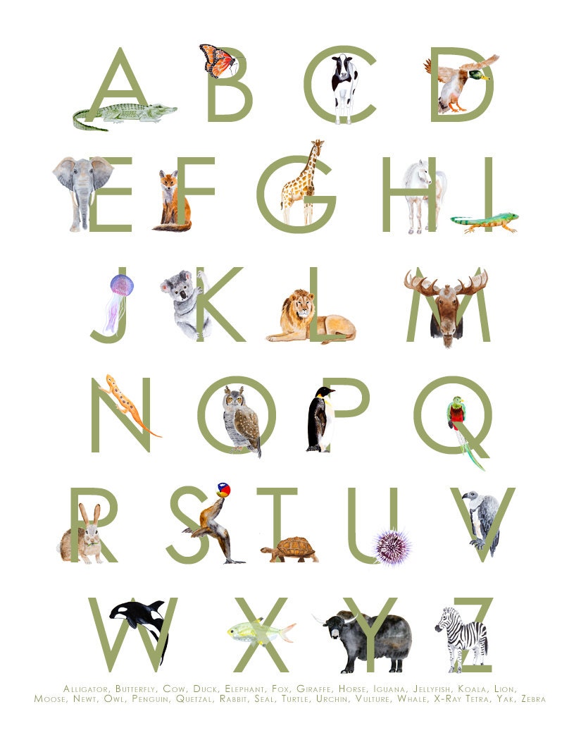 Animal Alphabet Art Alphabet Wall Art Child's by TinyToesDesign