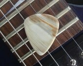 Seashell Guitar Picks by BeachSidePicks on Etsy