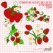 Strawberry Clip Art Strawberry Digital Borders Digital