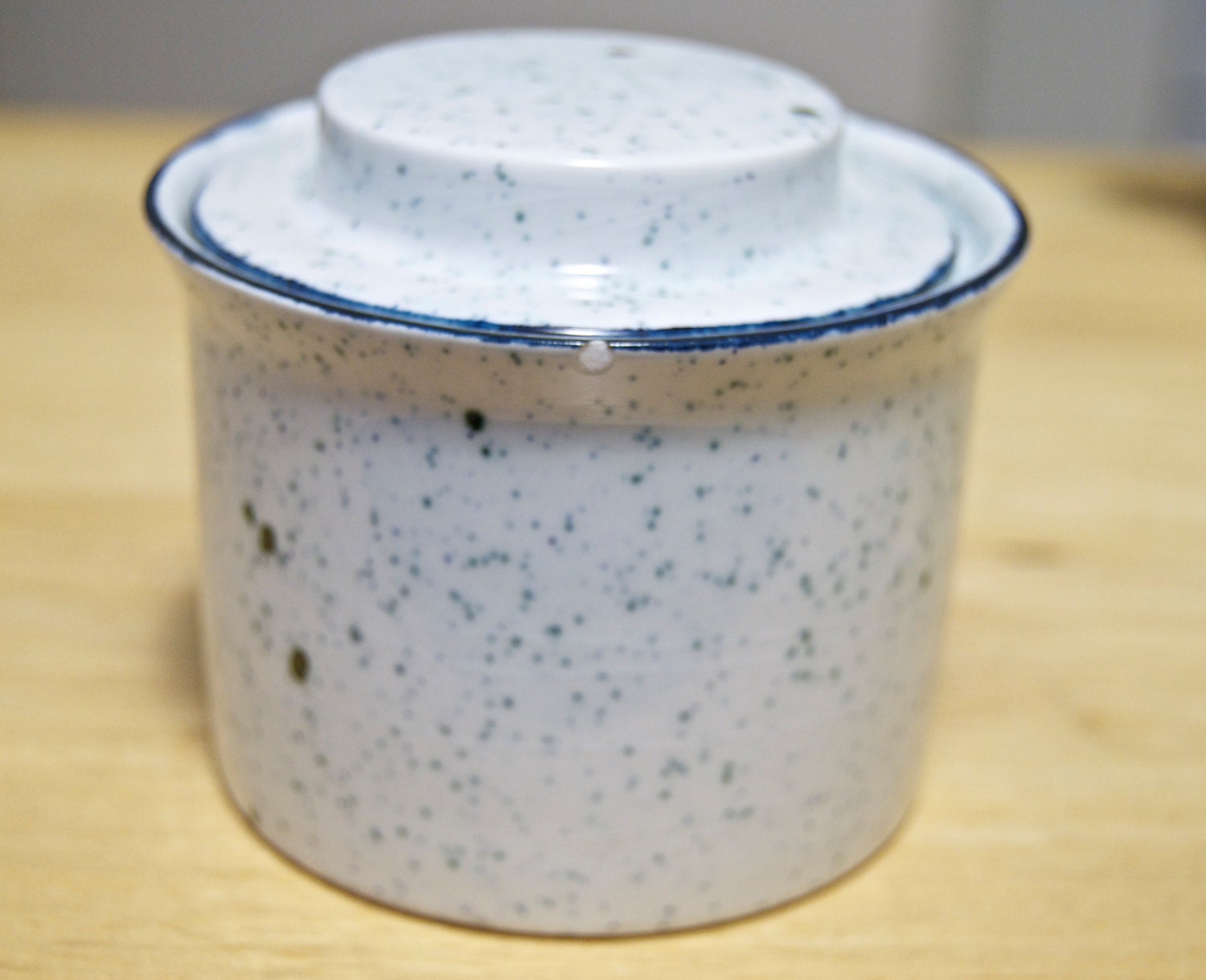 Johnson Brothers Ironstone Dinnerware Patio Blue Speckle Design – 1970s ...