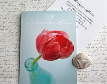 pink rose Language of Flowers note card // Nature Floral Plant