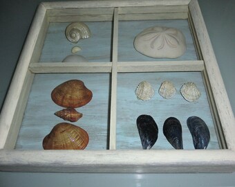 Seashell shadow box | Etsy